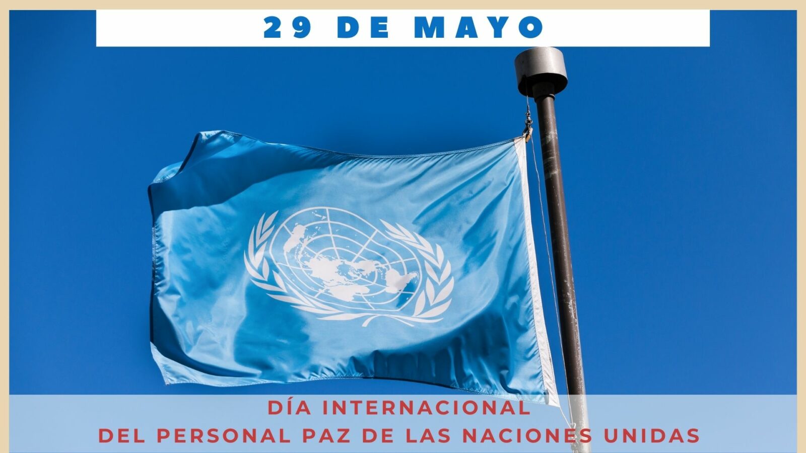 DÍa Internacional Del Personal De Paz De Las Naciones Unidas 29 De