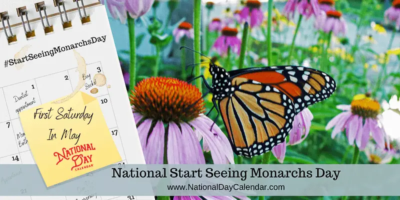 Día Nacional de las Monarcas - Primer sábado de mayo - Día ...