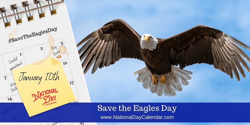 DÍA DE LAS ÁGUILAS - 10 de enero - Día Internacional Hoy
